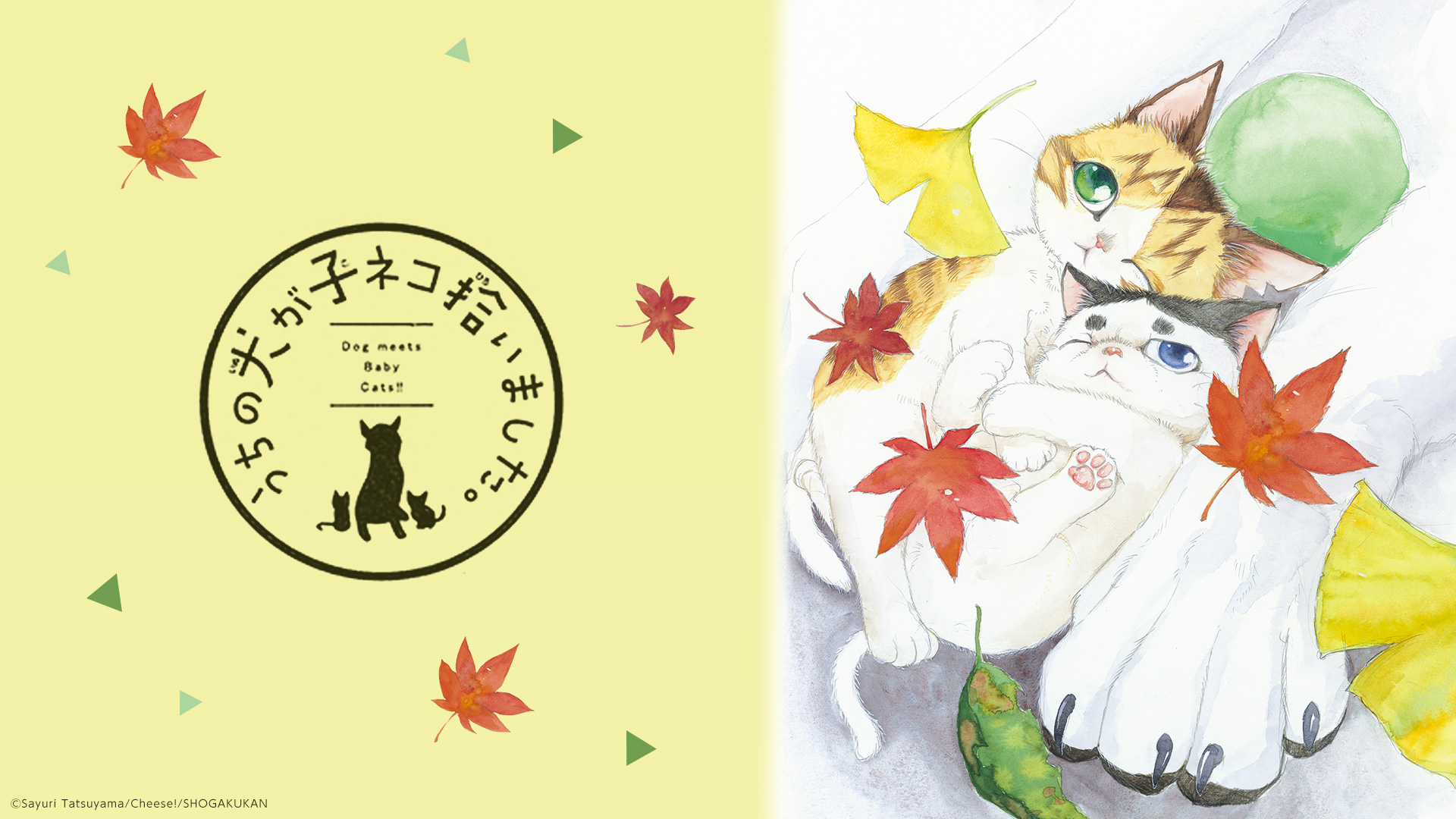 PC_221017_tym - チーズ！ネット