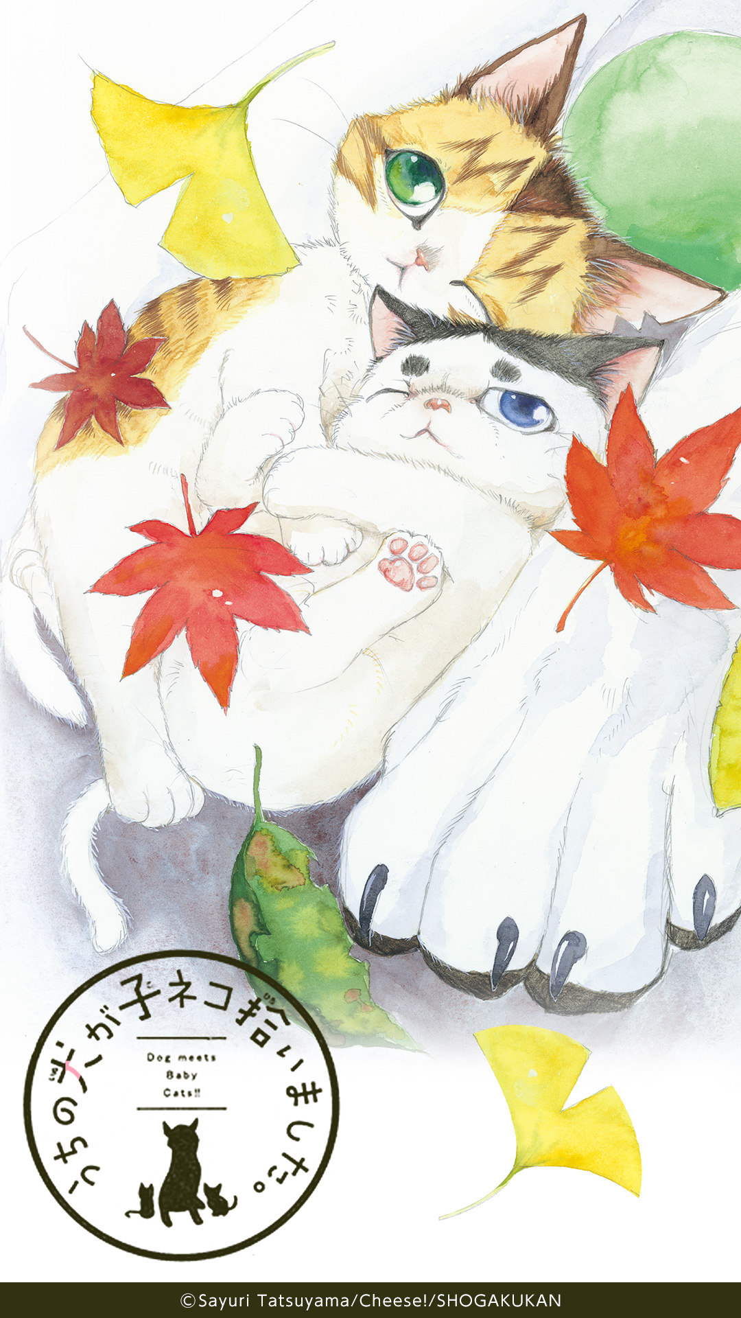 SP_221017_tym - チーズ！ネット